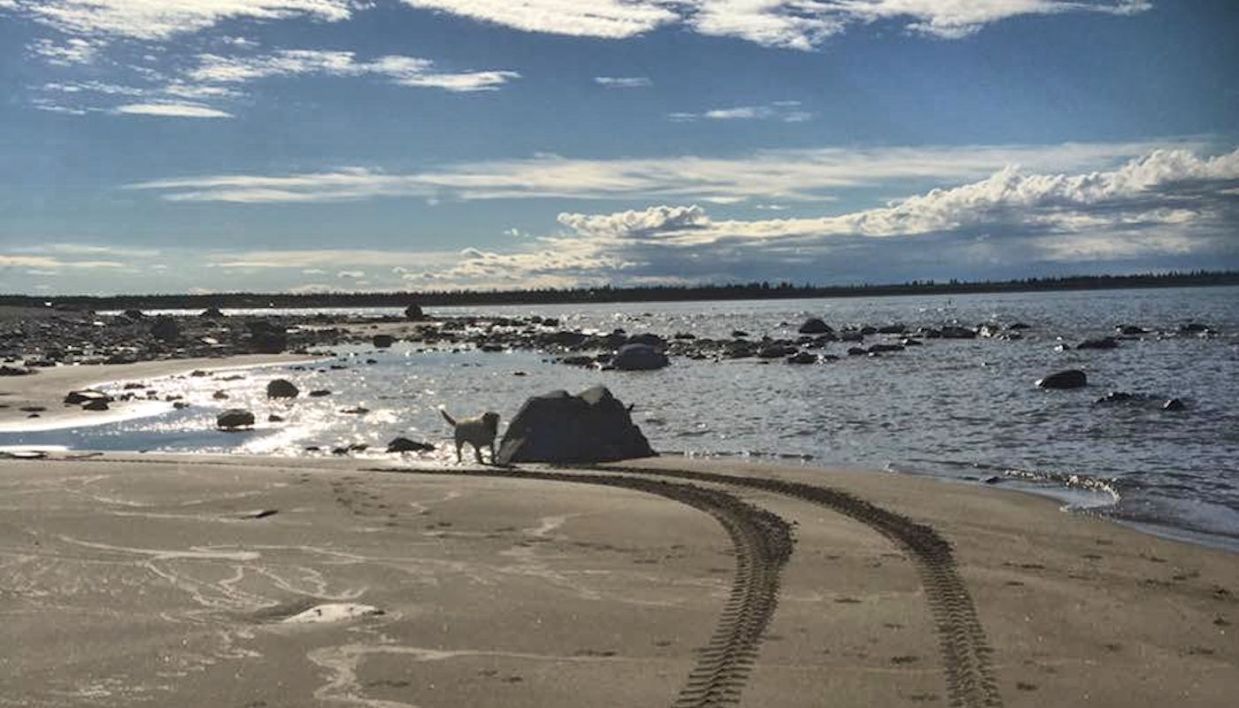 Village Life - Tribal Village of Igiugig, Alaska - Lake Iliamna ...