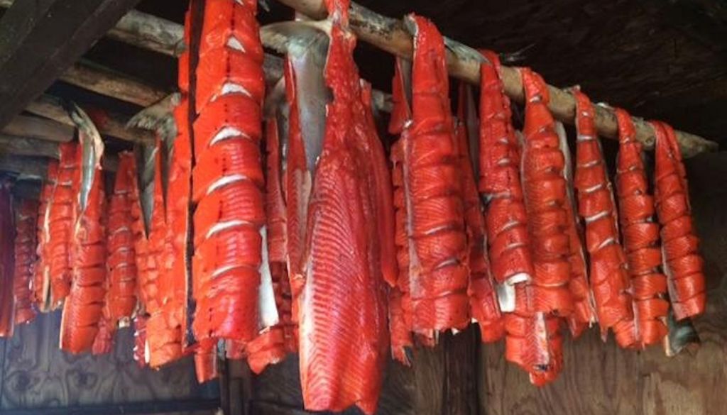 Subsistence Living - Tribal Village of Igiugig, Alaska - Lake Iliamna ...