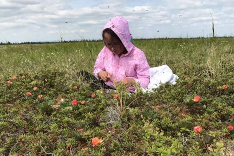 Welcome to Igiugig - Tribal Village of Igiugig, Alaska - Lake Iliamna ...