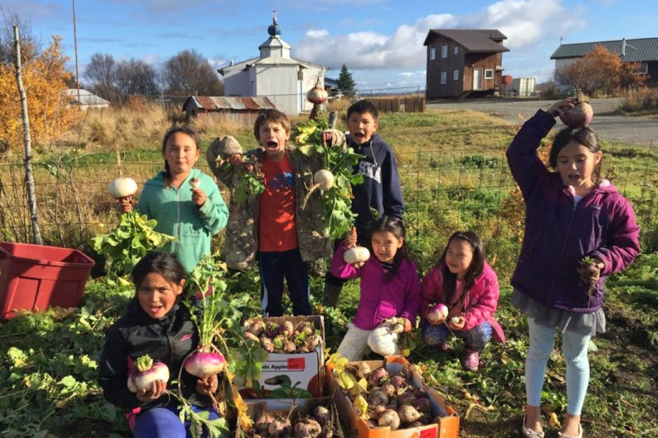 Welcome to Igiugig - Tribal Village of Igiugig, Alaska - Lake Iliamna ...